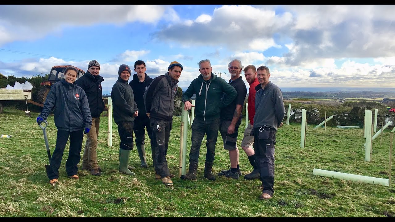 ZLC Energy Tree Planting Xmas 2019 - YouTube