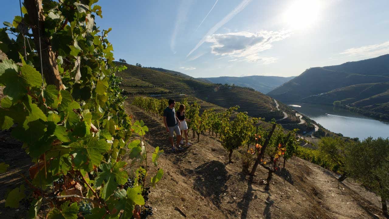 Douro Luxury Tour by Deltatur® - YouTube