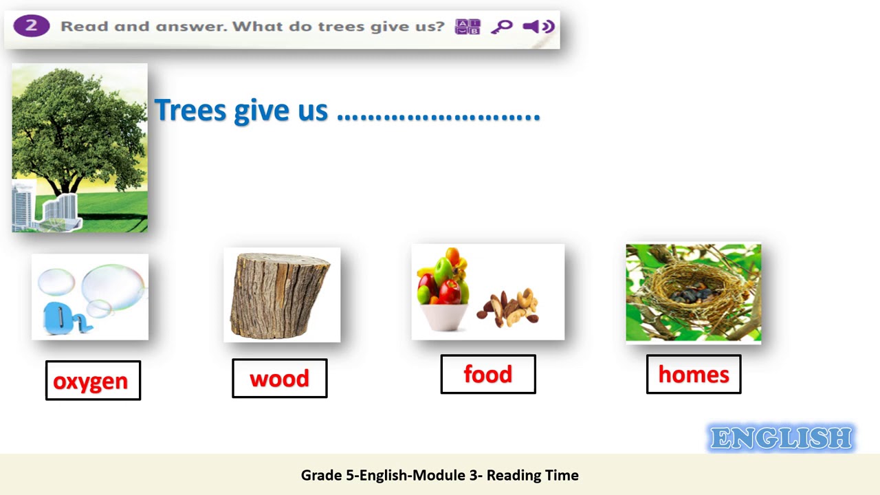 Grade 5 English Module 3 Reading Time - YouTube