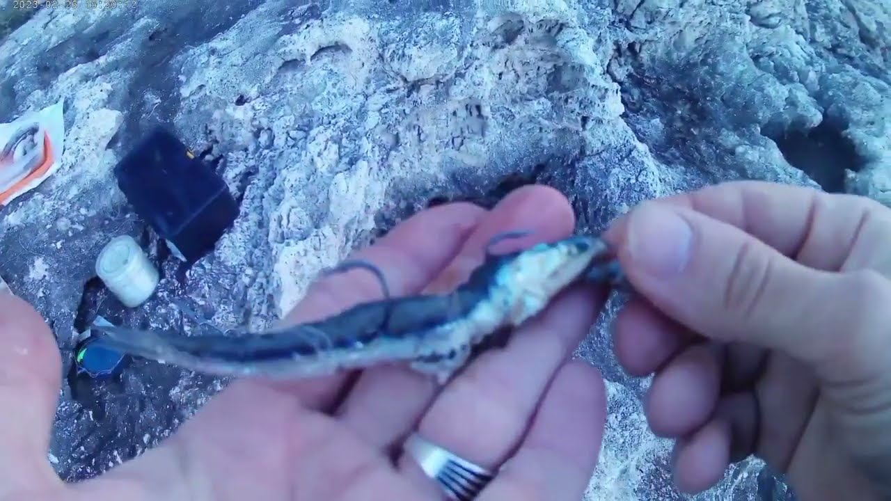 COMO MONTAR CABEZA PLOMADA //tenya// con Boquerón - YouTube