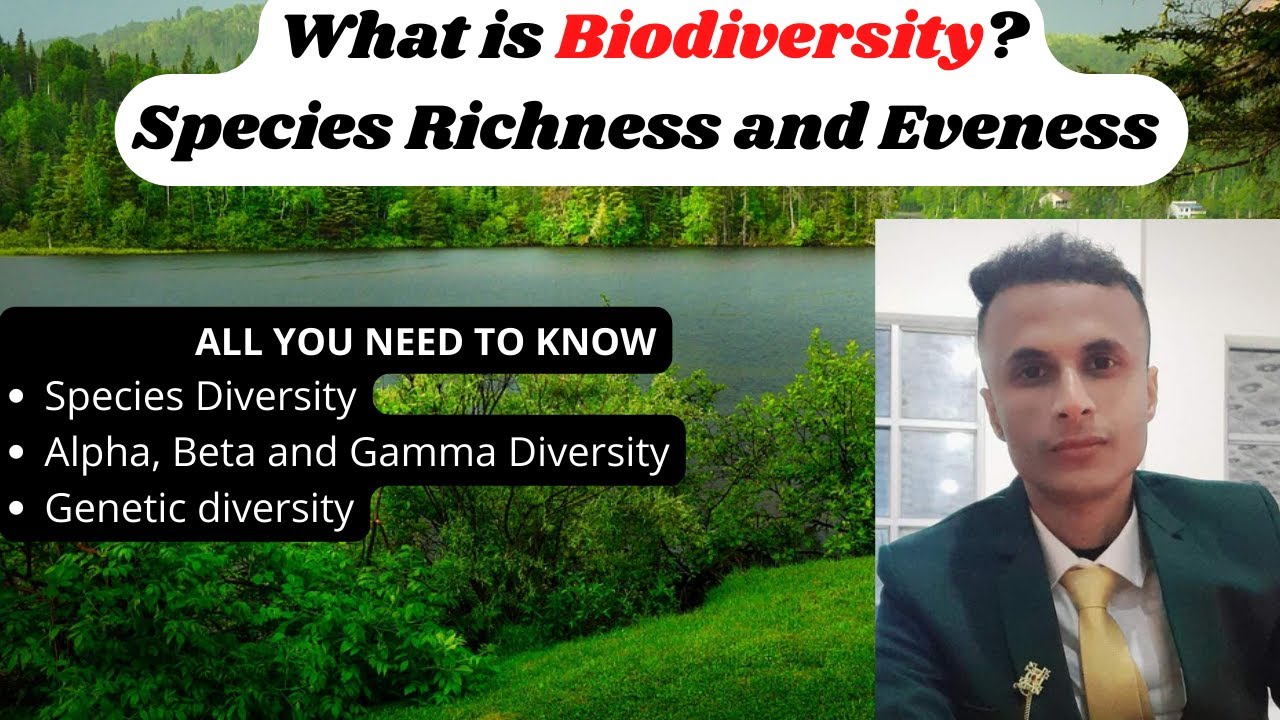 What is Biodiversity ? | Species Biodiversity | Alpha diversity | Beta ...