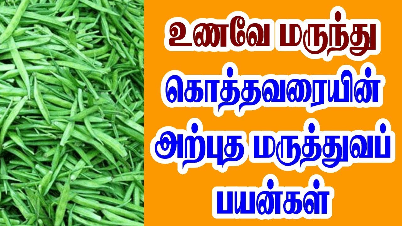 MEDICINAL BENEFITS OF KOTHAVARAI / உணவே மருந்து - கொத்தவரையின் அற்புத ...