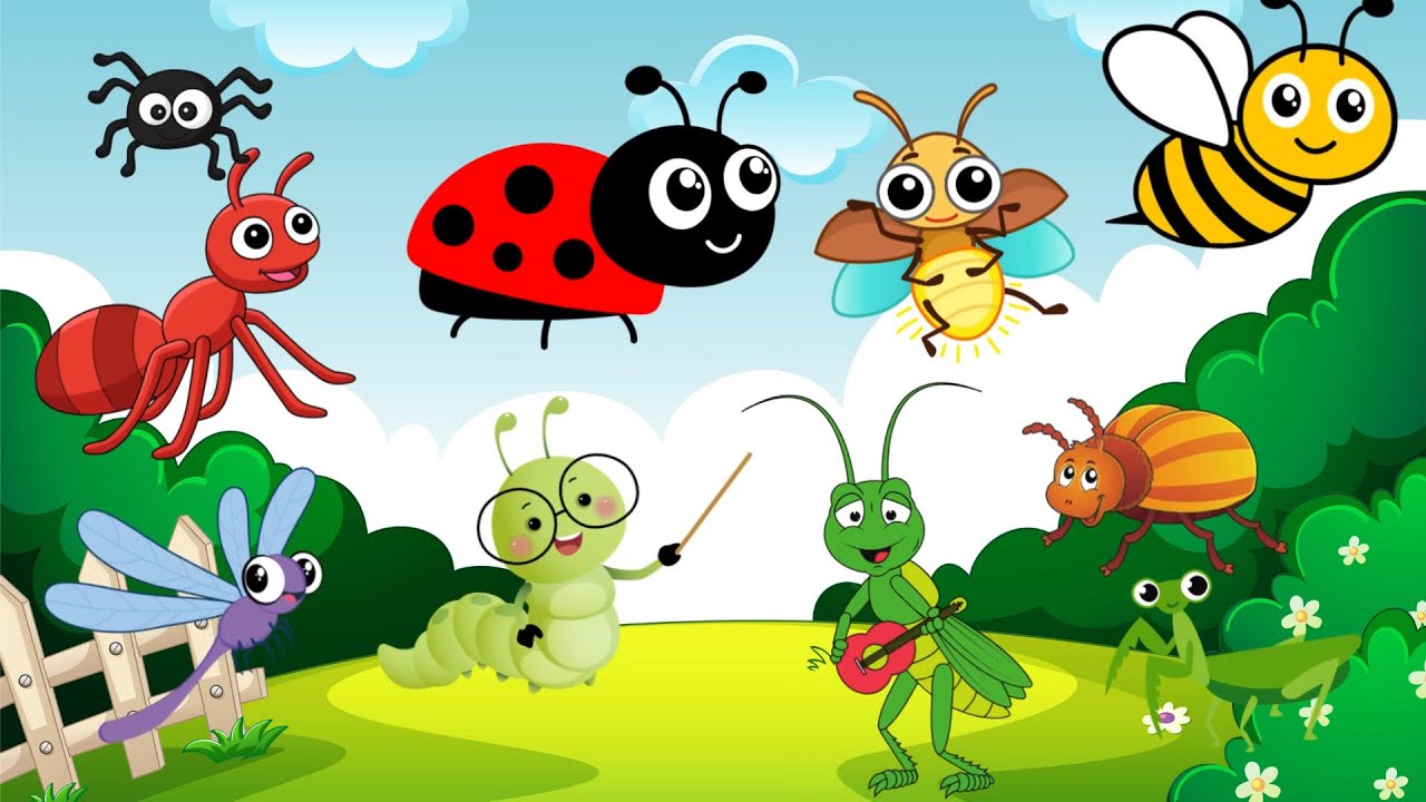 Exploring the World of Bugs👍 A Kid's Guide to Insects. - YouTube