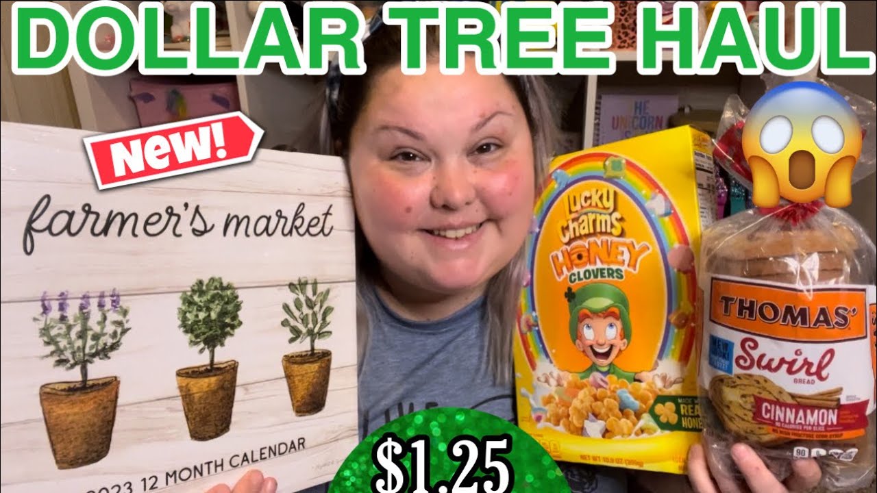 DOLLAR TREE HAUL | NEW ITEMS - YouTube