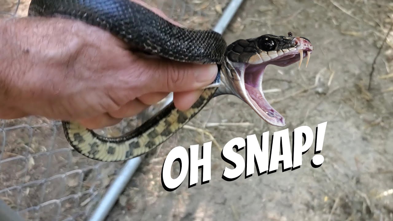 I GOT BIT! - YouTube