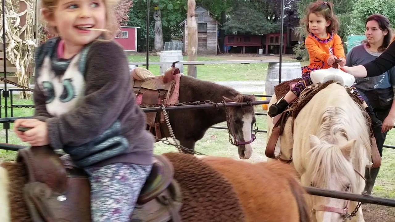 Baby girl riding horses - YouTube