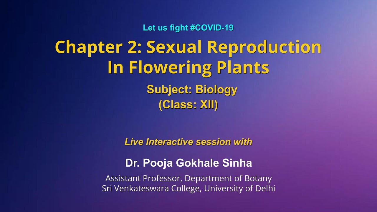 Live Interaction on PMeVIDYA : Ch-2: Sexual Reproduction in Flowering ...