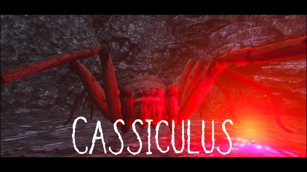I've Never Been So Scared Of Spiders - Cassiculus - YouTube