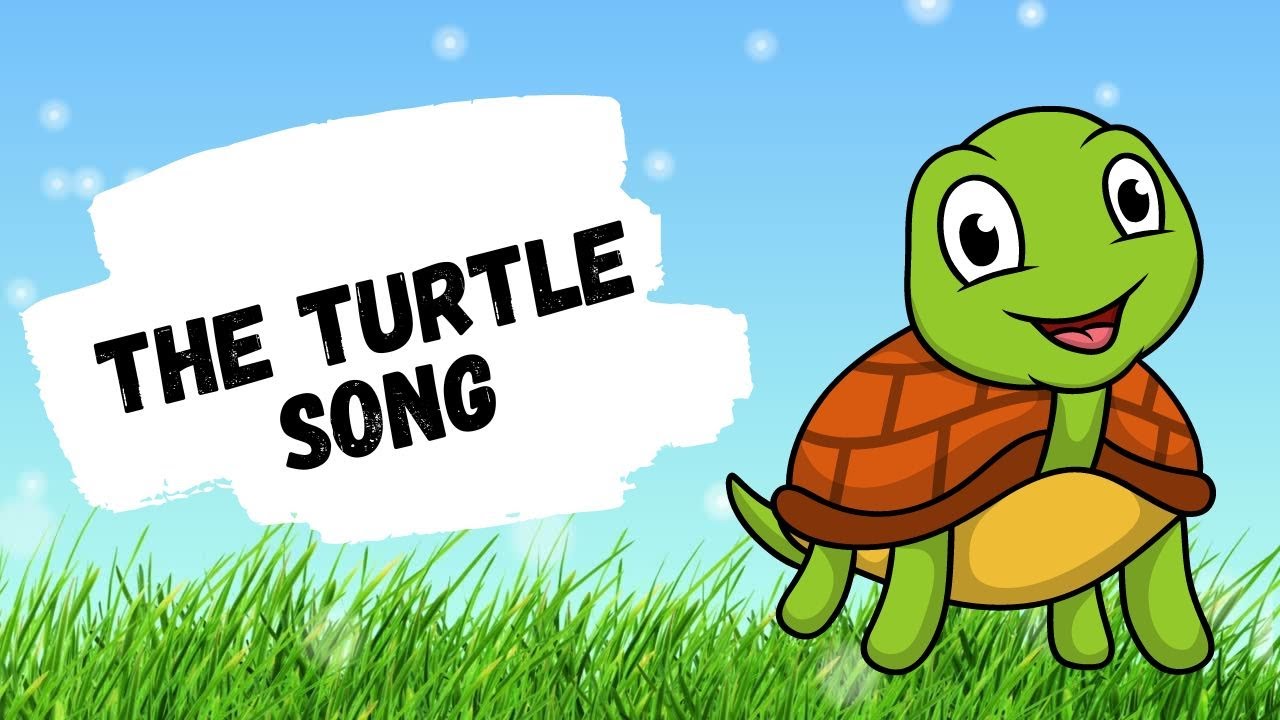 The Turtle Song | Tippy the Turtle | #viralvideo | #video | #viralsong ...