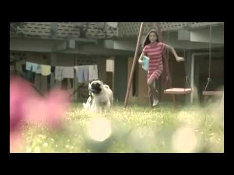 vodafone pug ad - YouTube