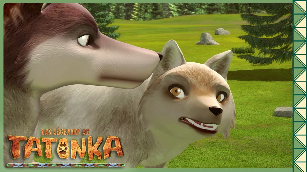 Les loups désobeissent à leurs parents | Tatonka | Dessins animés d ...