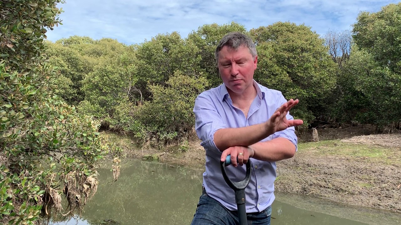 International wetlands expert Steve crooks on South Australia’s blue ...