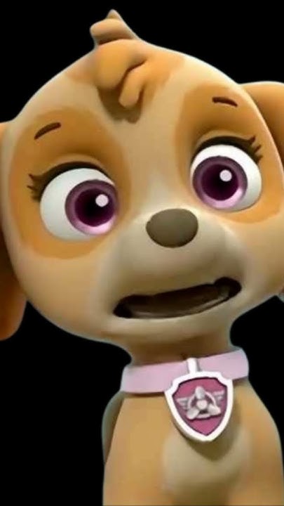 Paw Patrol Skye Youtube