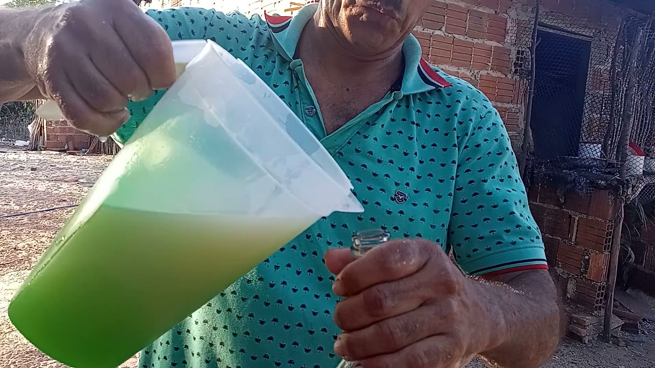 HJ VAMOS APRENDER A RECEITA DO VERDADEIRO MOCORORÓ GOSTOSO🍺🍺 - YouTube