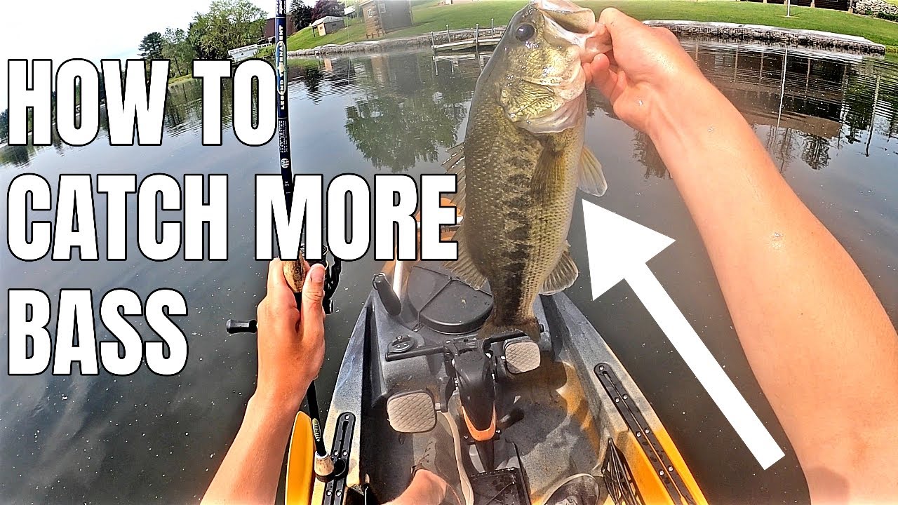 CATCH Bass on this Fishing Technique! How to Catch More Bass! - YouTube