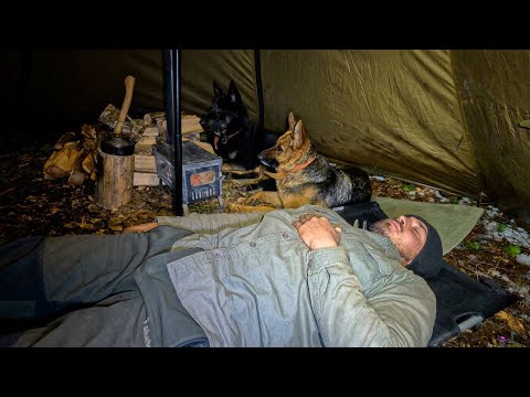 Hot Tent Snow Camping with my Dogs | Surviving in Winter Conditions with Tent & Stove