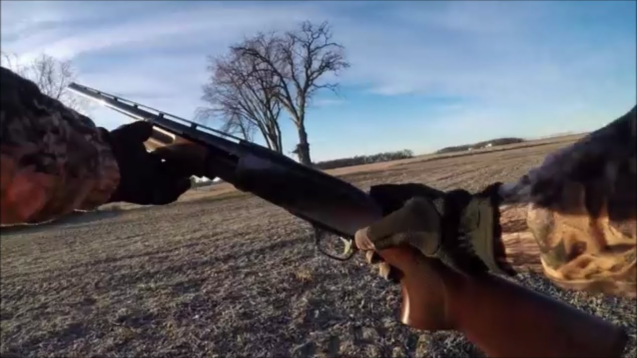 Deer Drive Slug Hunt 2017 - 10 Doe Spotted! - YouTube