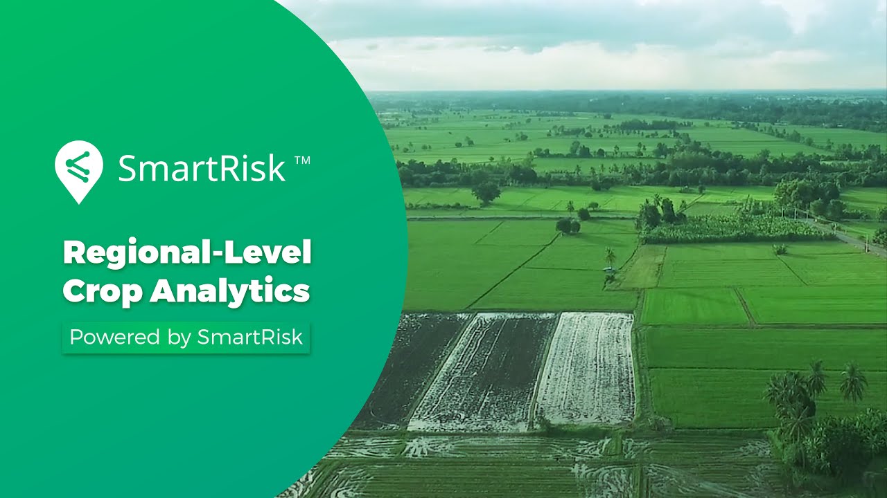 Regional-level Crop Analytics | Powered by SmartRisk - YouTube