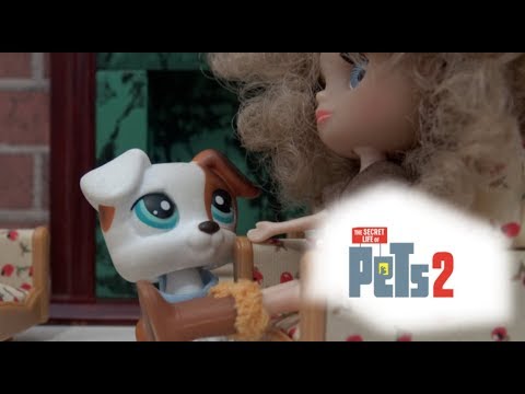 The Secret Life Of Pets 2 MOVIE TRAILER - YouTube