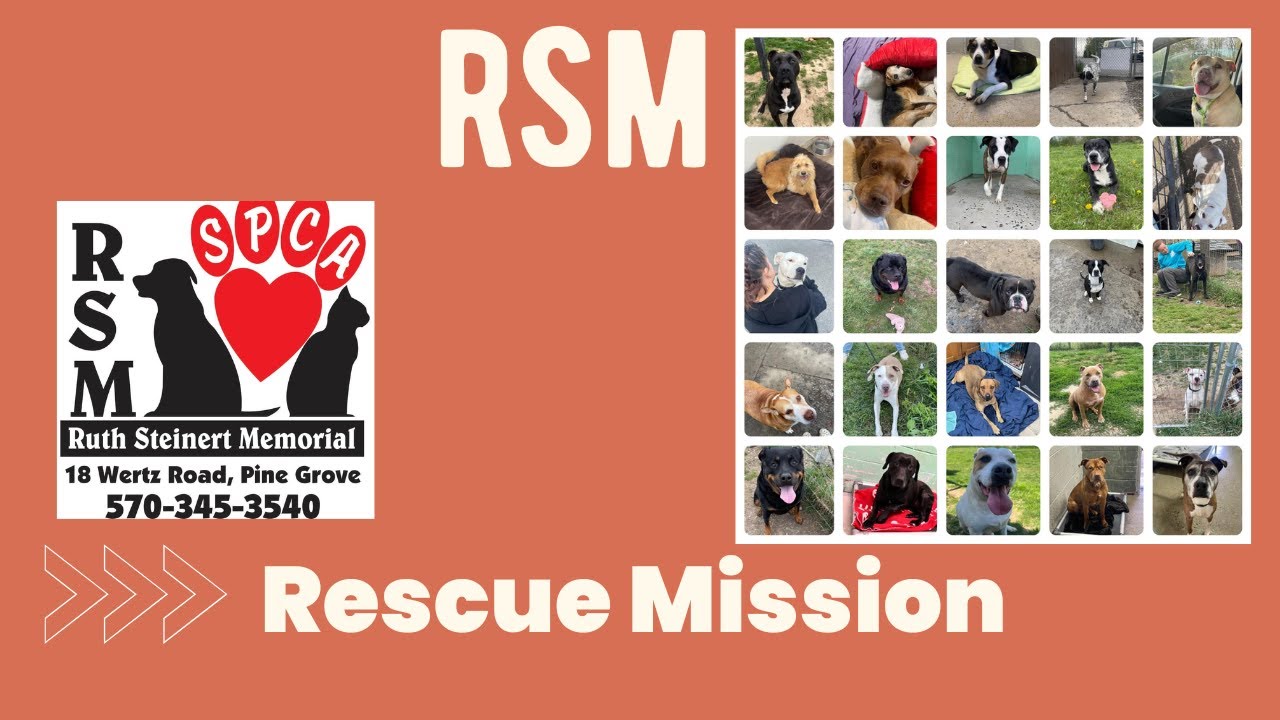 RSM Rescue Mission - YouTube