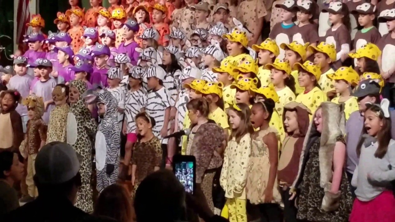 It's a Jungle out there- Steubing Ranch Elementary First Grade - YouTube