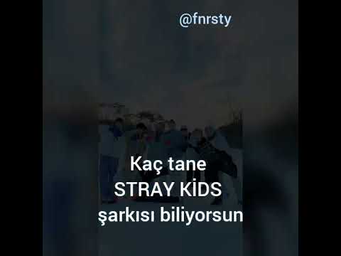 Şarkıyı biliyorsan bir parmağını indir✋     (STRAY KİDS VER.)
