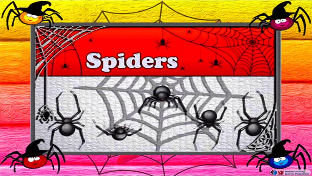 English Reading & Listening Practice - Spiders - YouTube