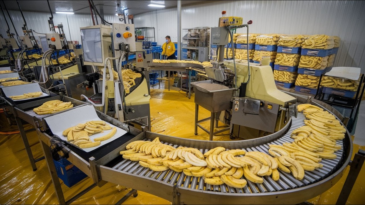 Banana Chips Mega Factory: Processing Millions of Bananas with Modern ...