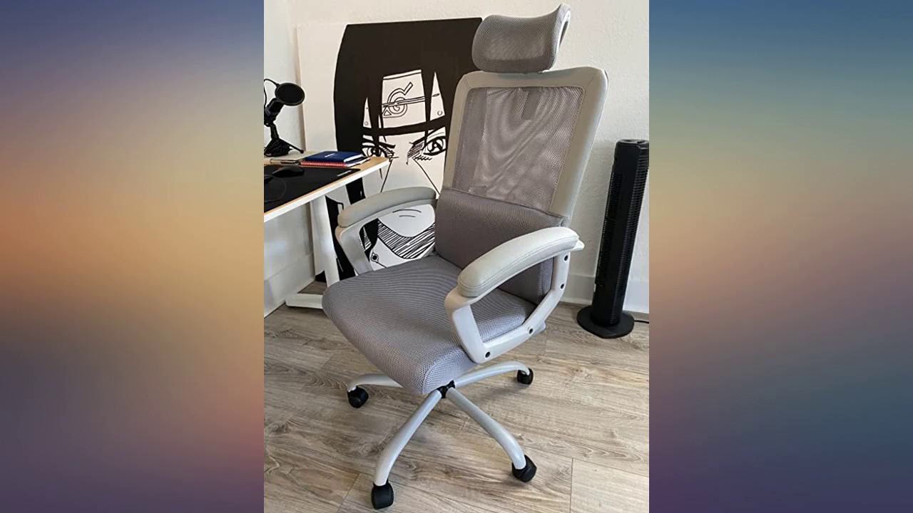 Smugdesk Office Computer Chair Ergonomic Lumbar at Lois Katz blog