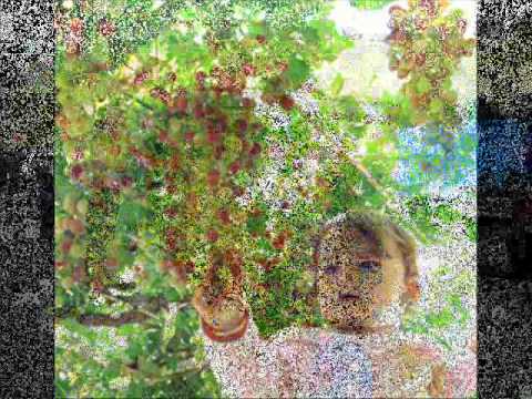 çanakçı çayı türküsü