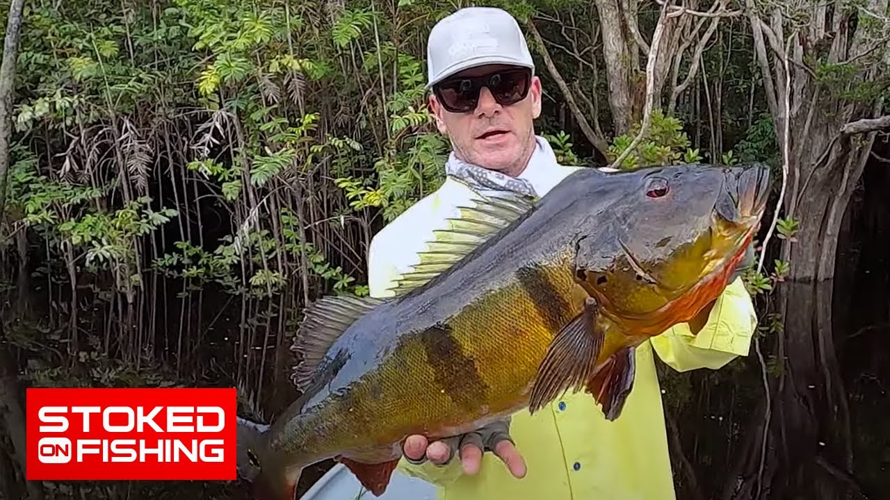 Solo Fishing in the Amazon | Full Episode | 2021 - YouTube