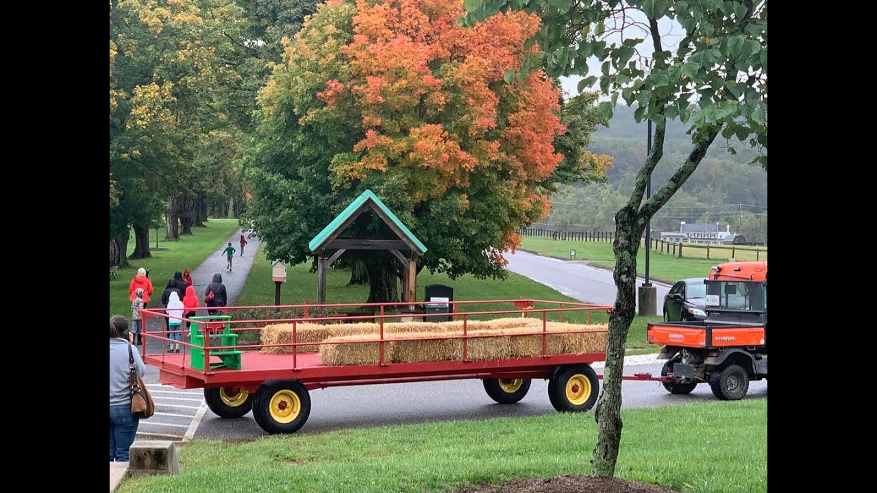 UMD Extension - Baltimore County - YouTube