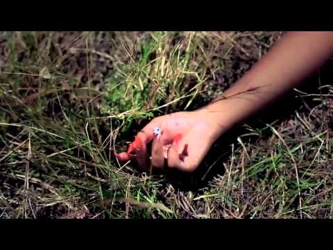 Lyloo line rose   Jalouse   2013 Le Clip Zouk