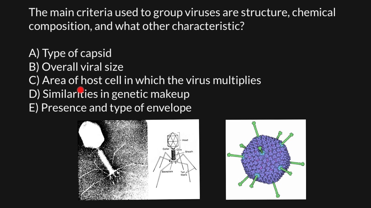 Main characteristics of the viruses - YouTube