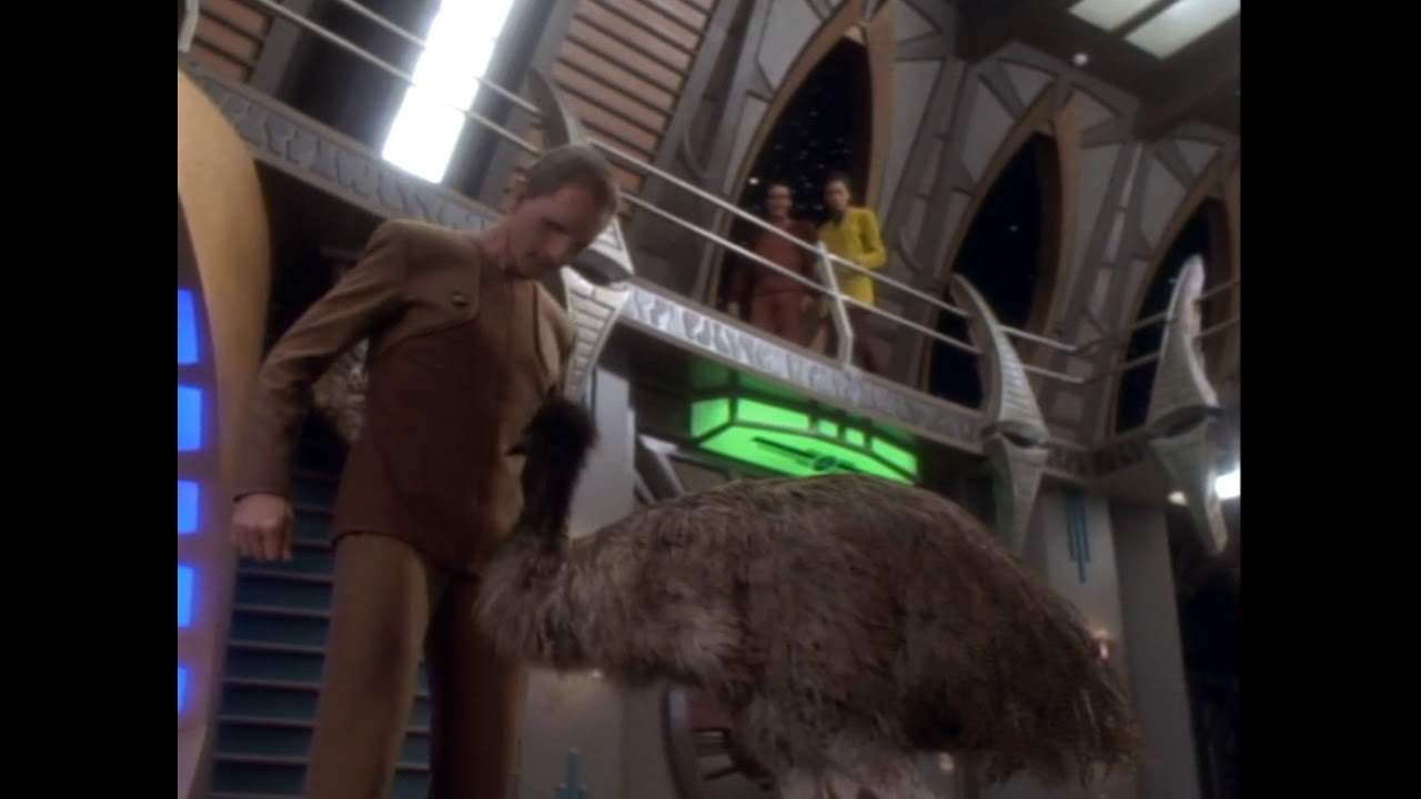 Deep Space 9 - Odo finds an emu - YouTube