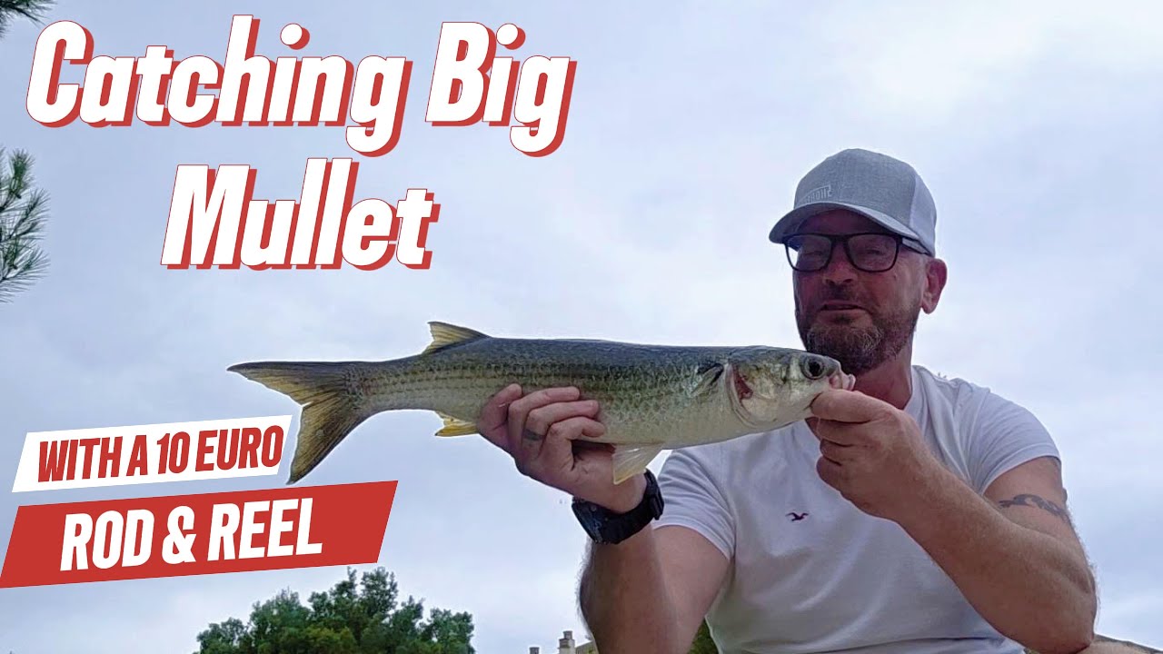 Sea Fishing - Catching Big Mullet on a 10 euro Rod & Reel - Great fun ...
