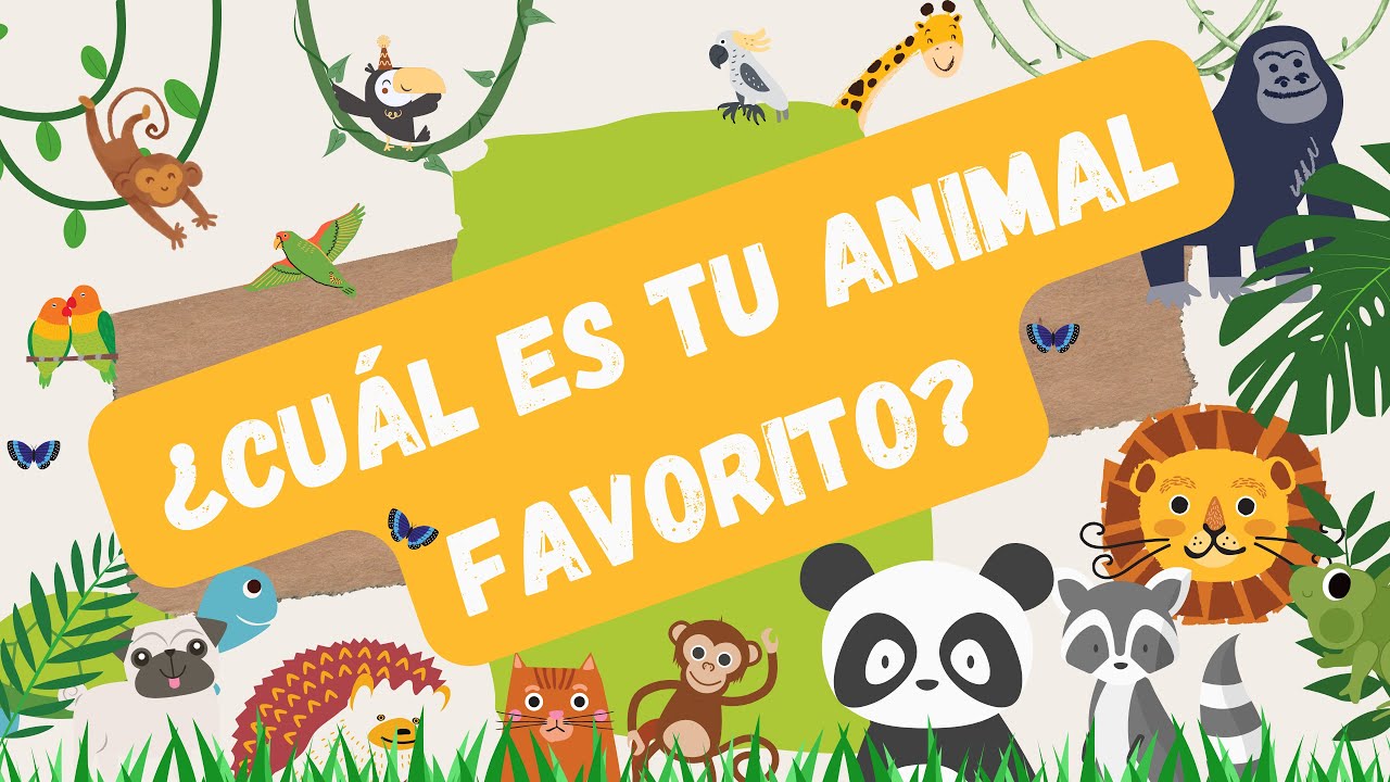 ¿CUAL ES TU ANIMAL FAVORITO? en inglés y español - YouTube