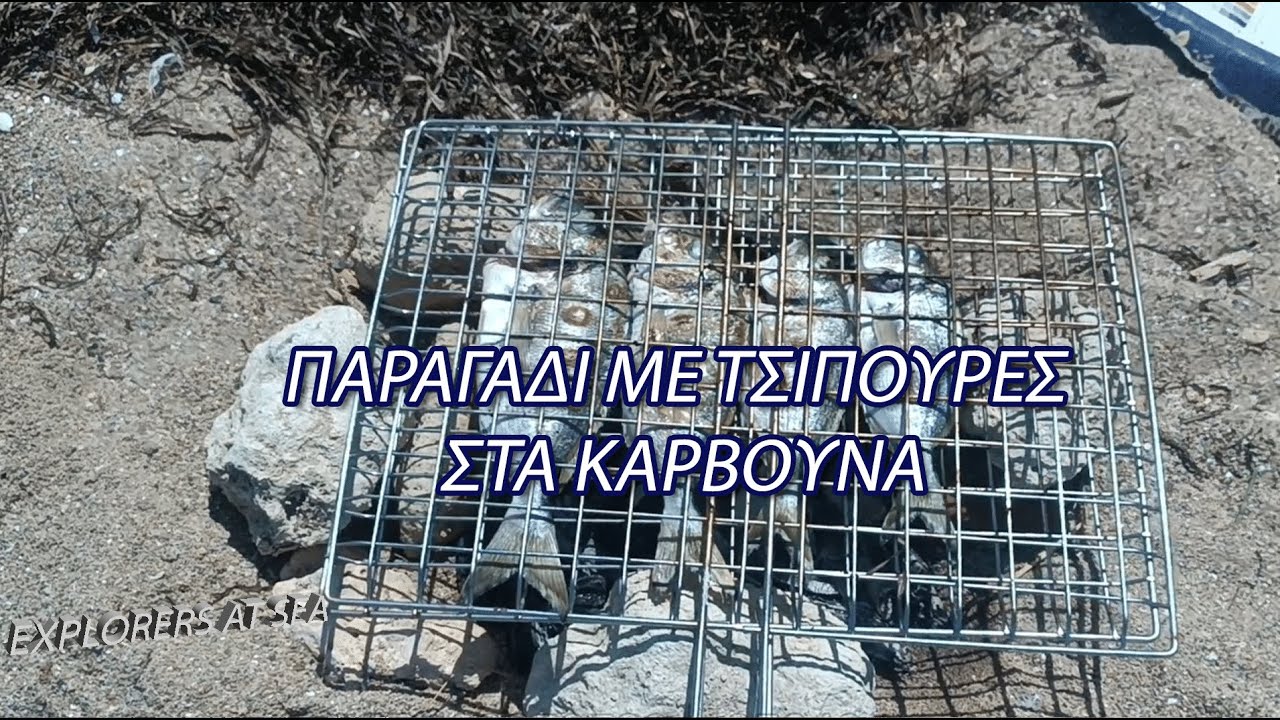 ΠΑΡΑΓΑΔΙ ΜΕ ΤΣΙΠΟΥΡΕΣ ΣΤΑ ΚΑΡΒΟΥΝΑ - YouTube