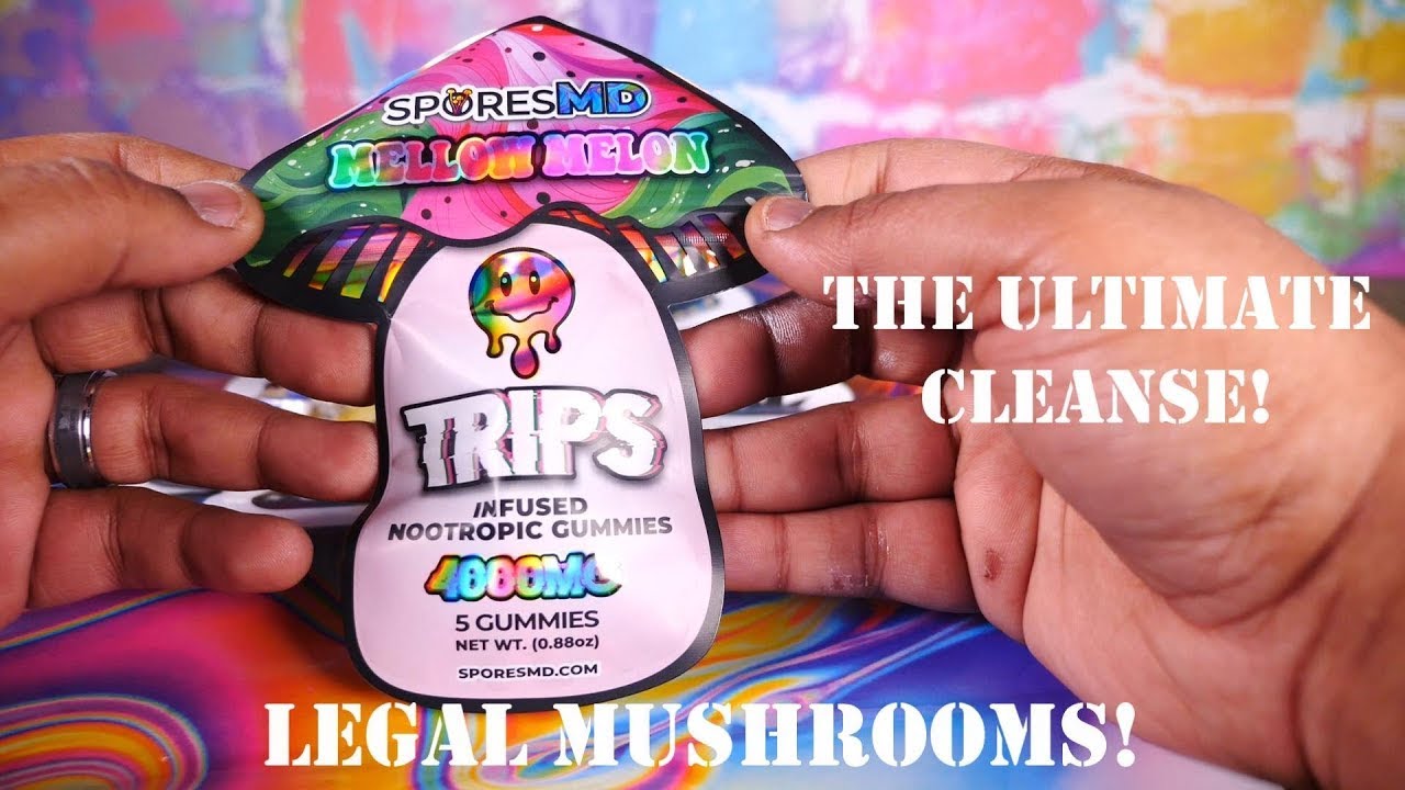 MORE Legal #mushrooms Spores MD TRIPS - The ULTIMATE Cleanse! #sporesmd ...