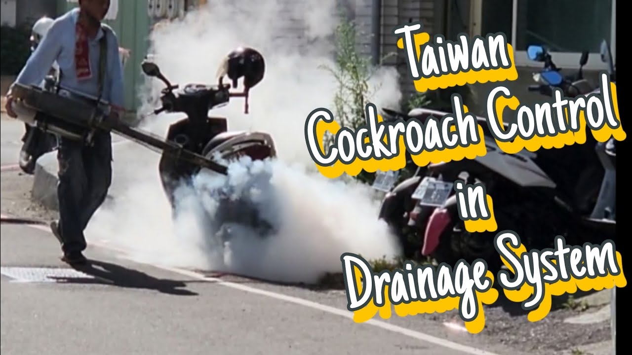 TAIWAN MOSQUITO'S & COCKROACH PEST CONTROL SUPER EFFECTIVE - YouTube