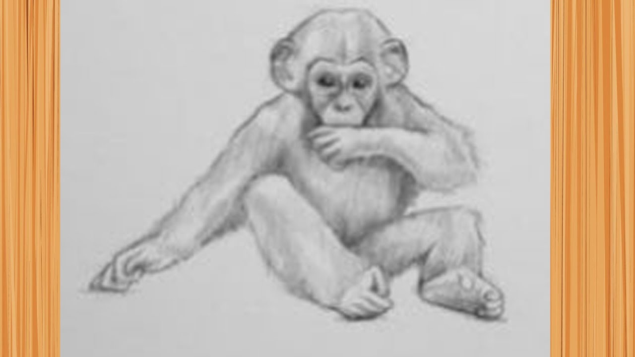 How to drawing mankey,drawing animal,sketch drawing with pencil,pencil ...