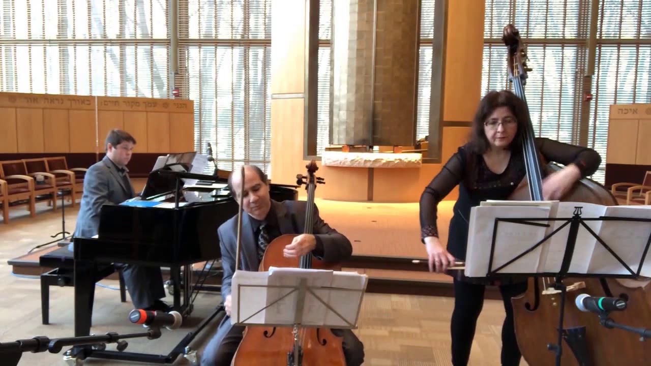 Astor Piazzolla Four Seasons of Buenos Aires- Spring, Duo Cello e Basso - YouTube