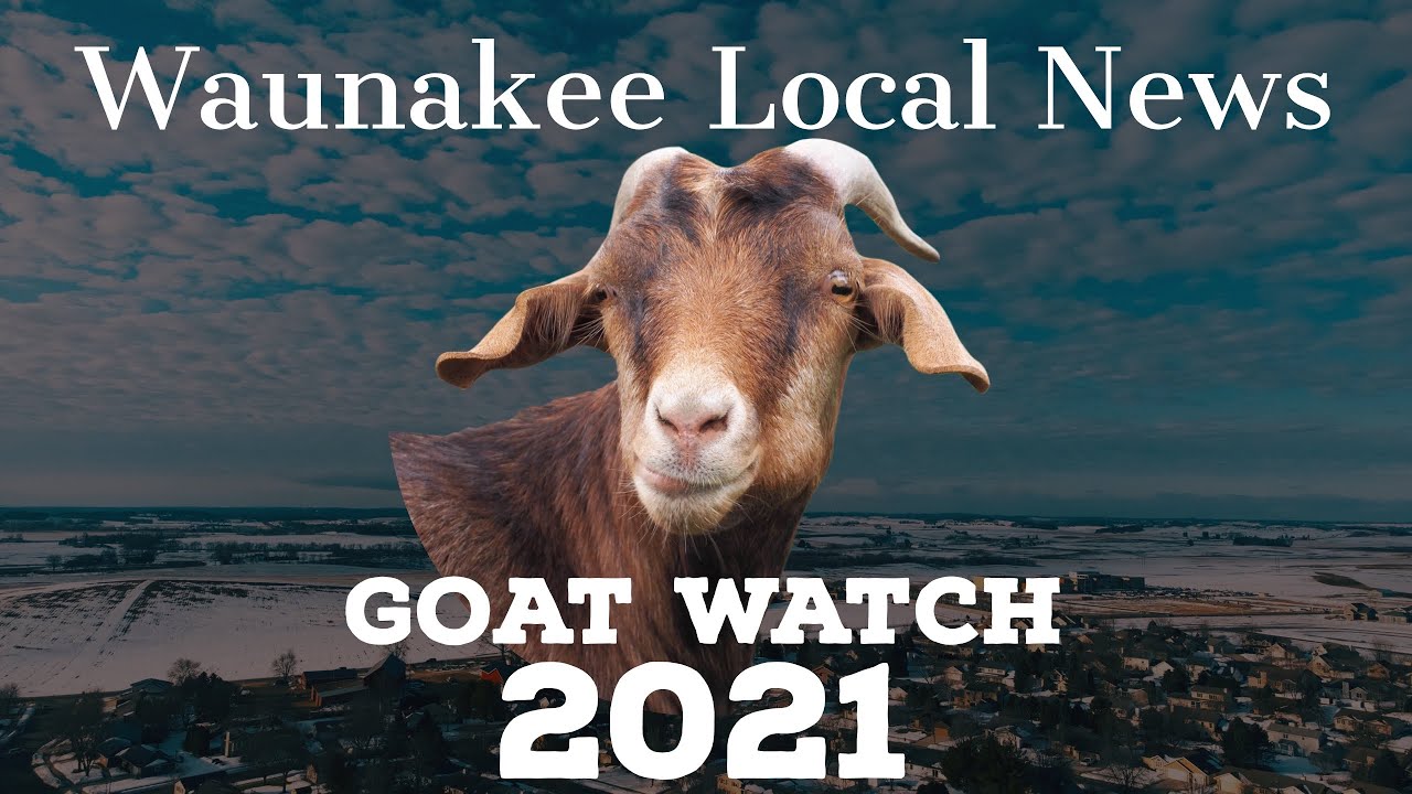 Waunakee Wisconsin Local News Goat Watch 2021 - YouTube