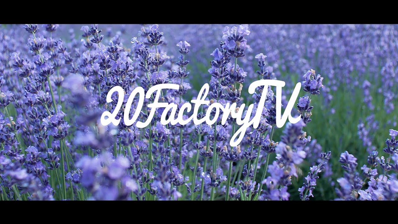 Lavender Time. ラベンダー - YouTube