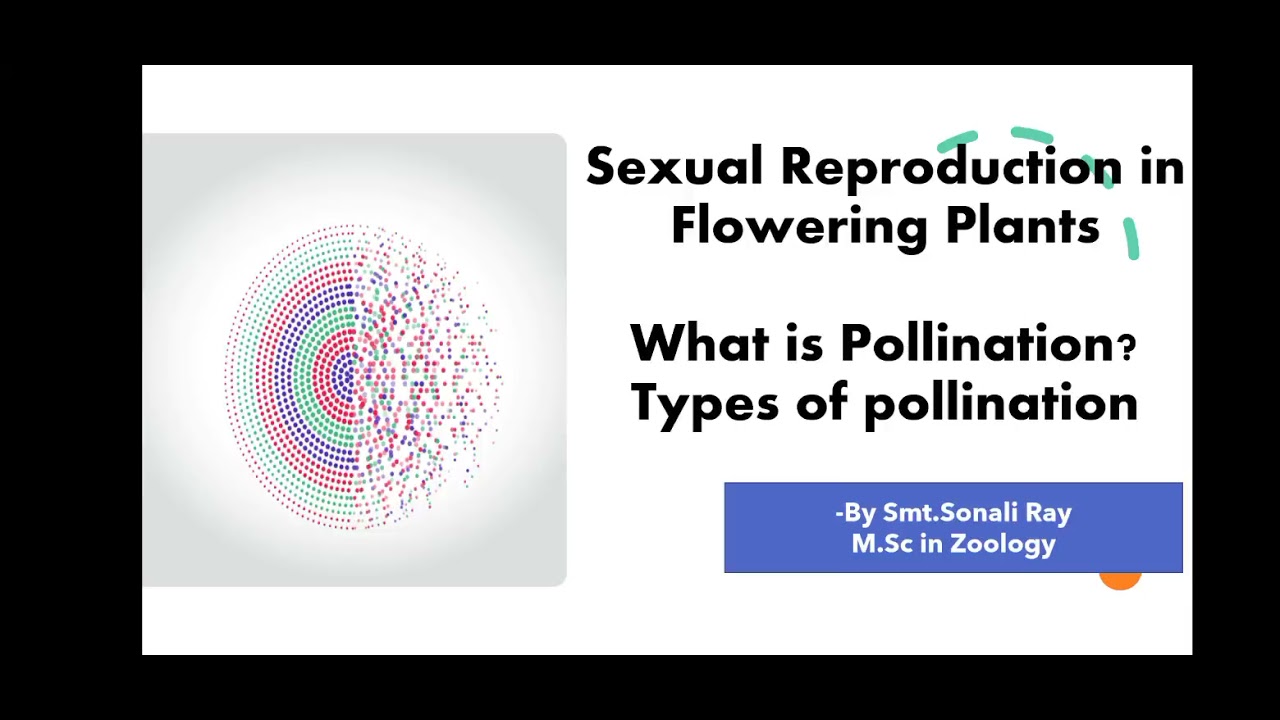 Types of Pollination | Class XII Biology | #biology #biologywithsonali ...