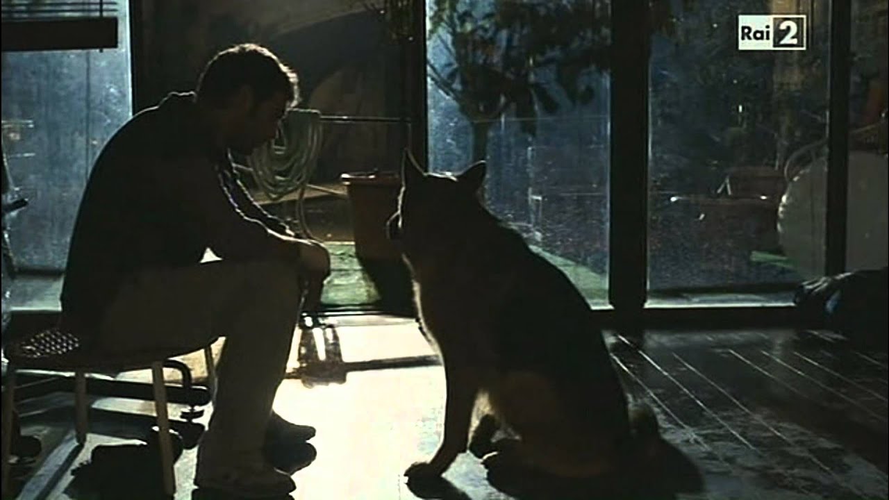 Il Commissario Rex : [ Marco & Rex ] : The way it was - YouTube