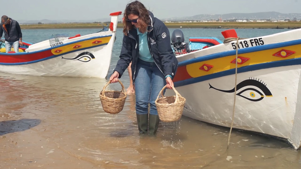 Clam picking experience - YouTube
