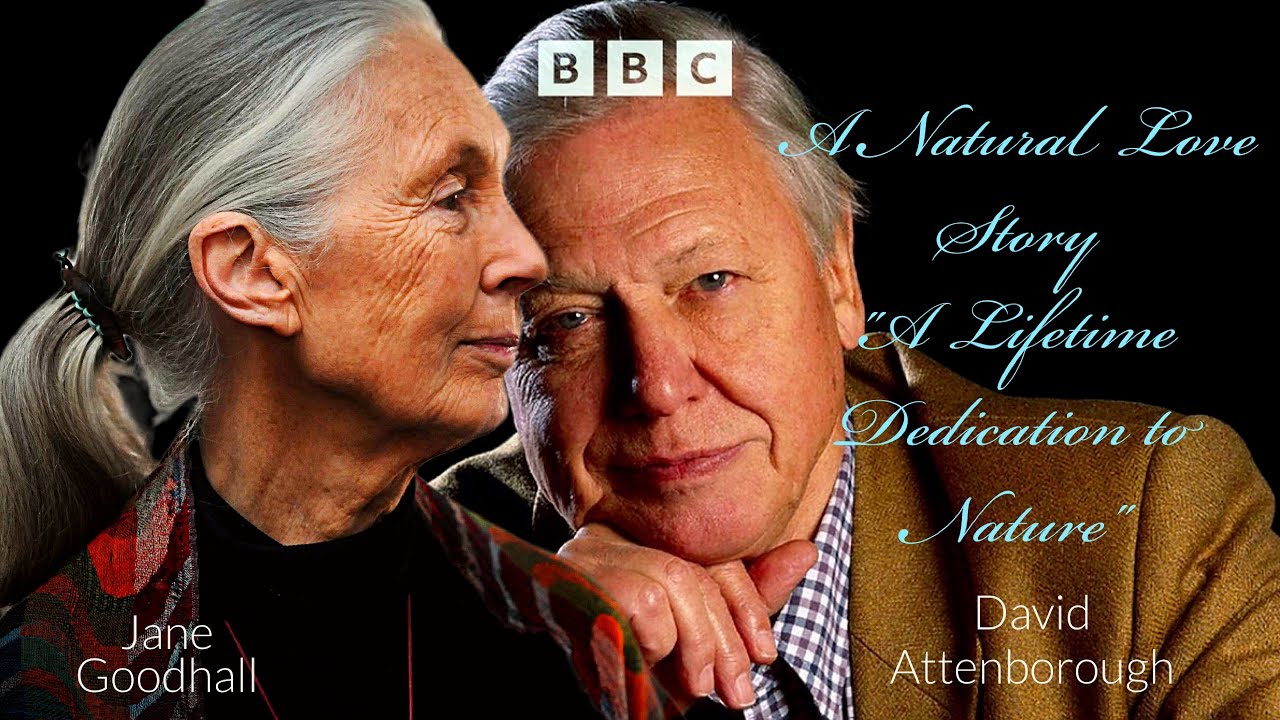 HOTTER David Attenborough And Jane Goodall CLIMATE CHANGE OF THE MOMENT ...