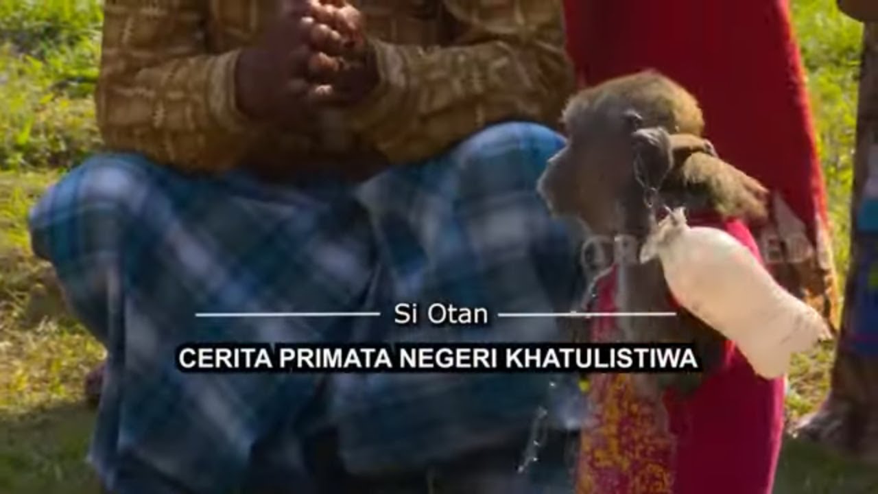 [FULL] Cerita Primata Negeri Khatulistiwa | SI OTAN (20/10/20) - YouTube