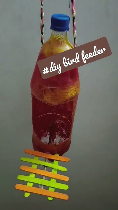 Bird feeder science activity #diy #birdfeeder #easy #crafter ...